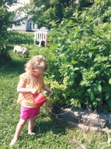 Summer Solstice Activities for Kids | Green Child Magazine