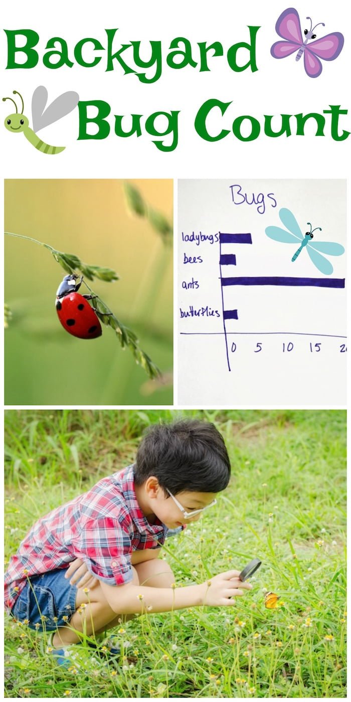 Outdoor Science Activity: Backyard Bug Count