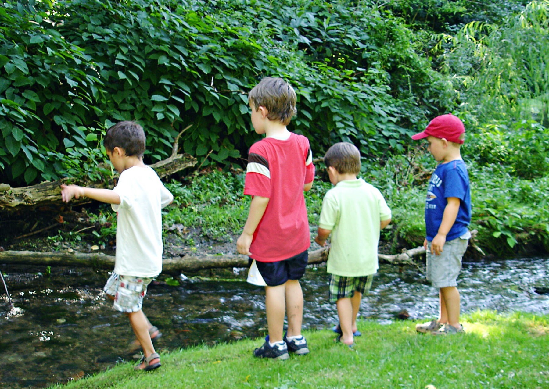 Go Green: The Top 15 Most Important Sustainable Steps