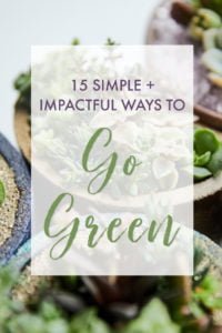 Go Green: The Top 15 Most Important Sustainable Steps