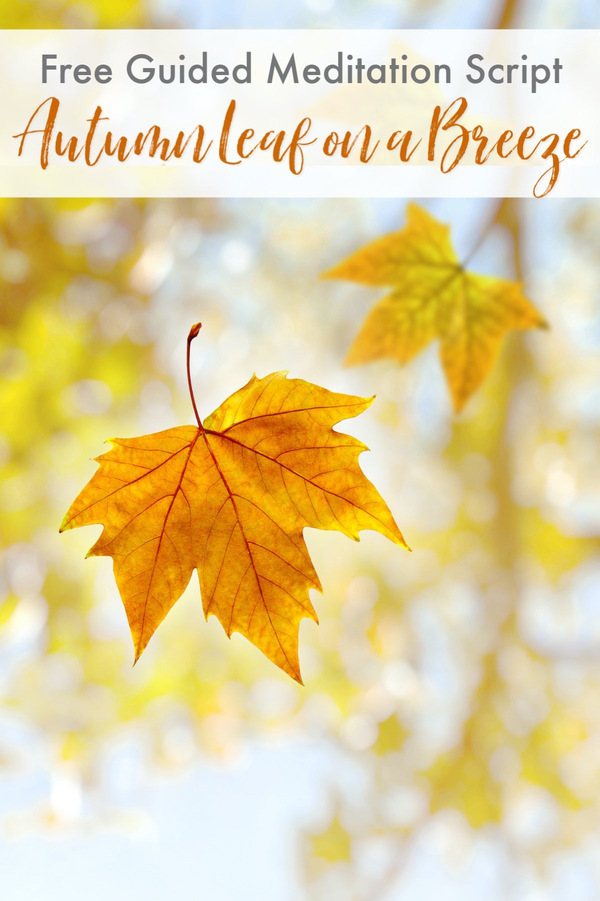 Fall Guided Meditation for Relaxation: Autumn Leaf On a Breeze