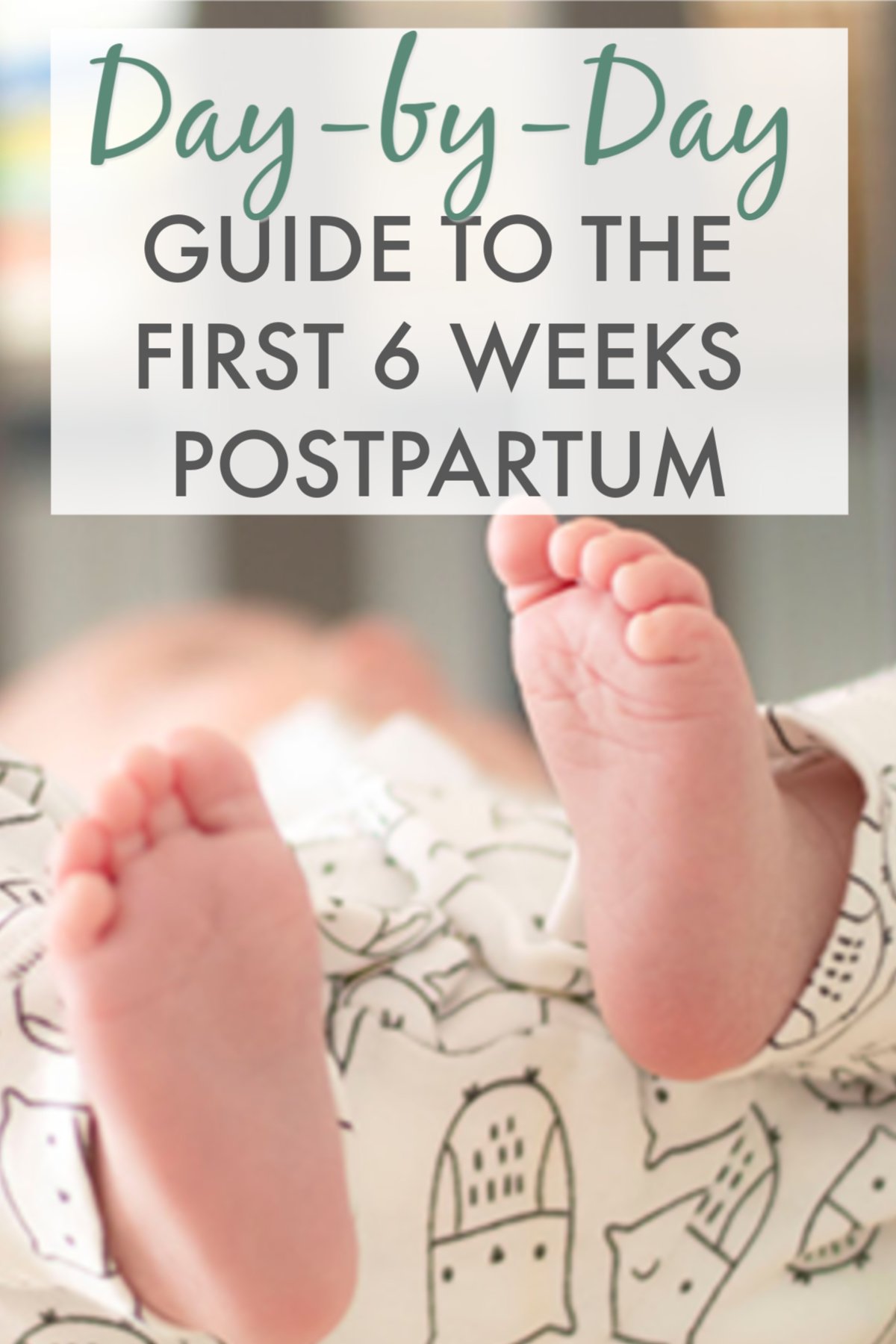 Your New Mom Six-Week Postpartum Care Plan — Green Child