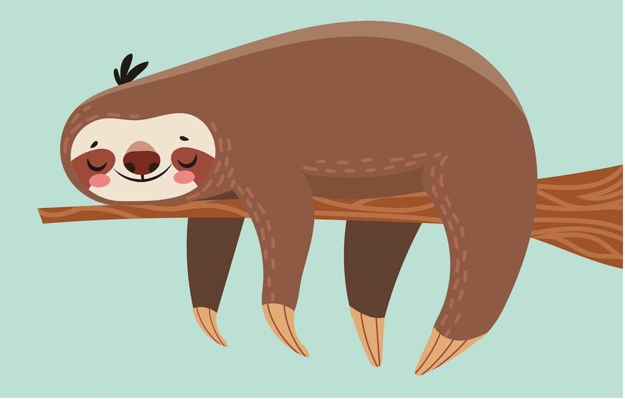 Kids' Guided Meditation for Sleep: Sloth's Bedtime