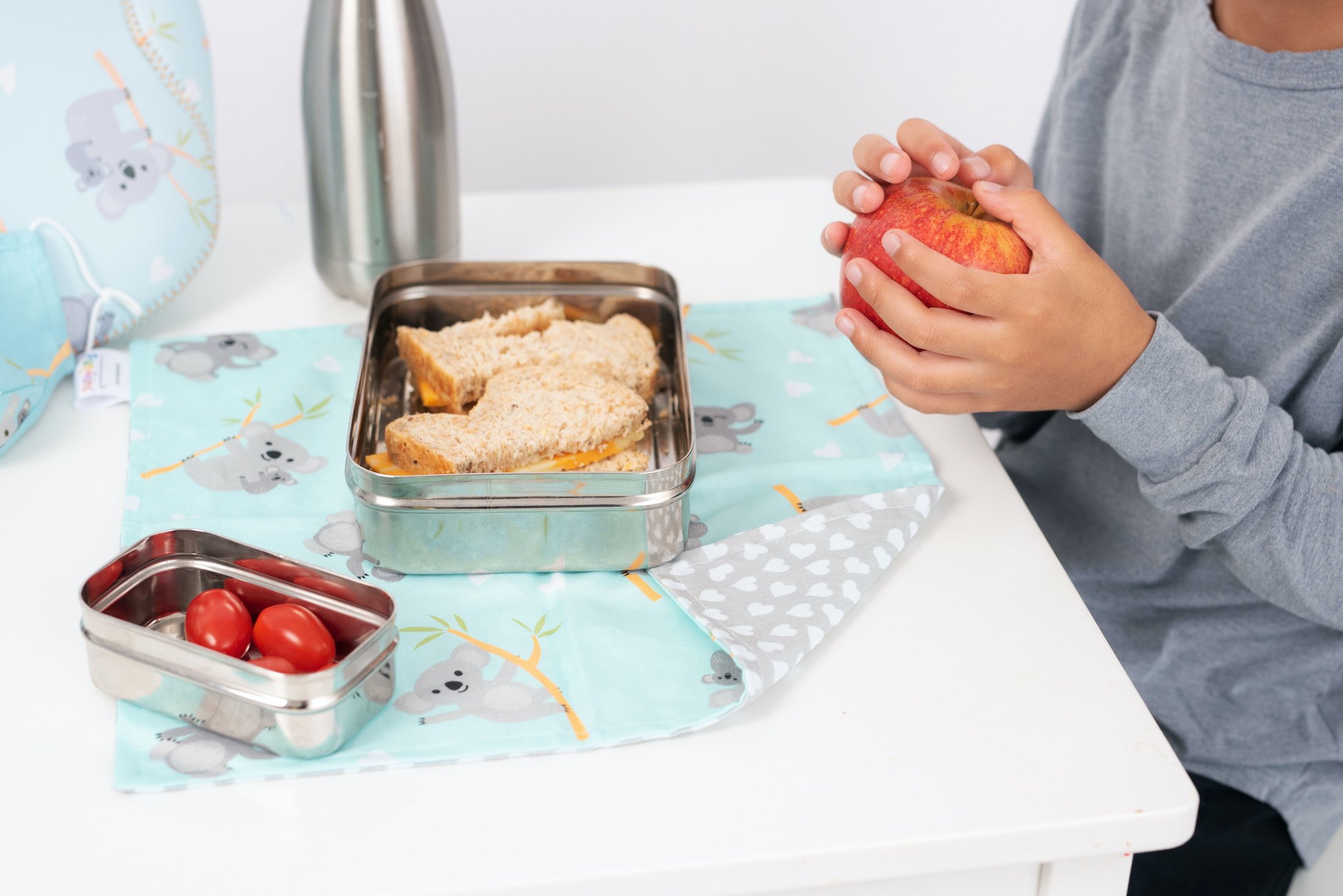 Best Non-Toxic Lunch Boxes and Gear for Kids