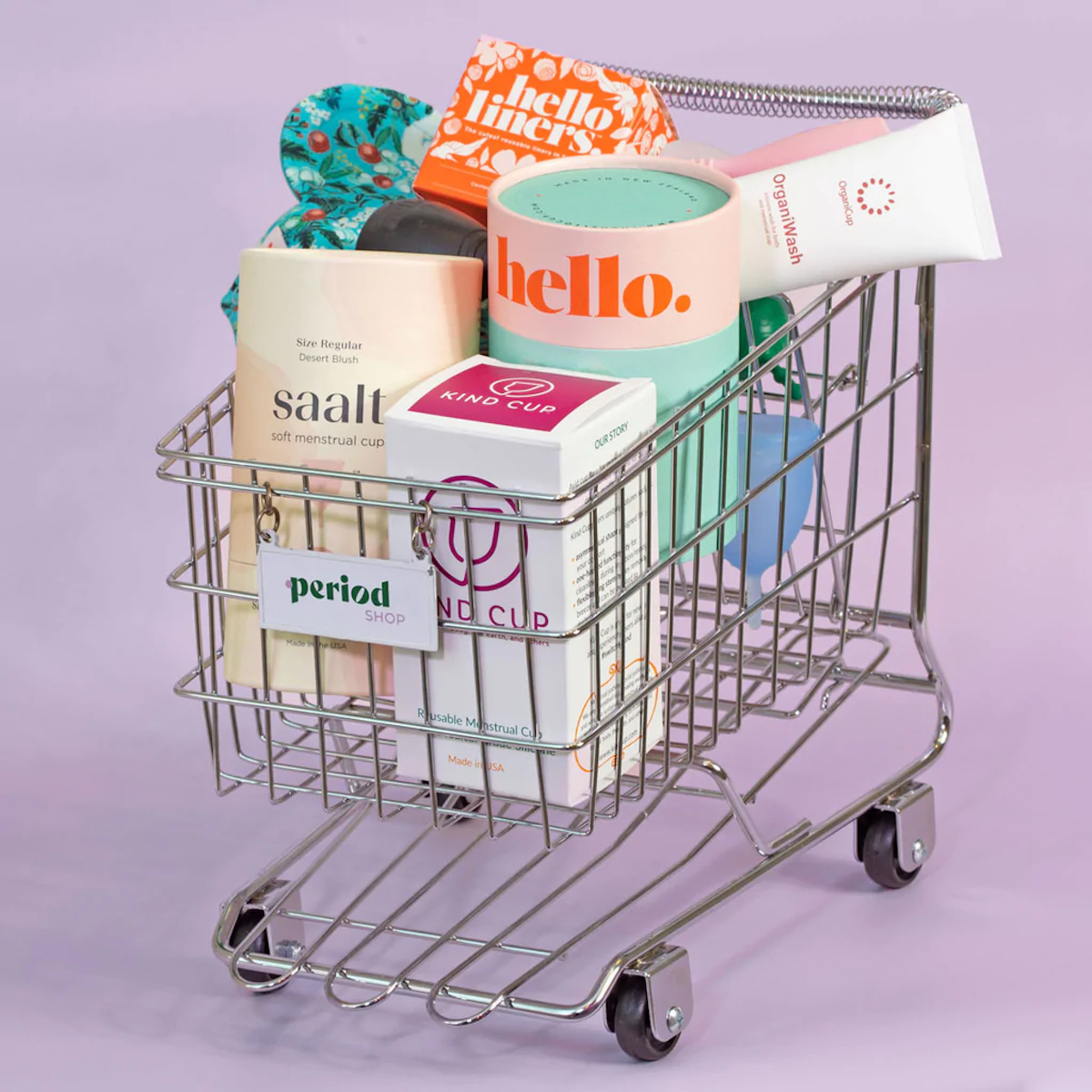 Reusable Menstrual Products: Cups, Discs, Period Panties + Cloth Pads