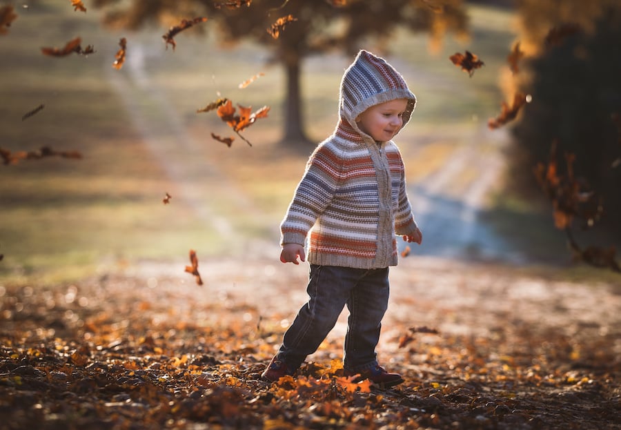 Fall Guided Meditation for Relaxation: Autumn Leaf On a Breeze