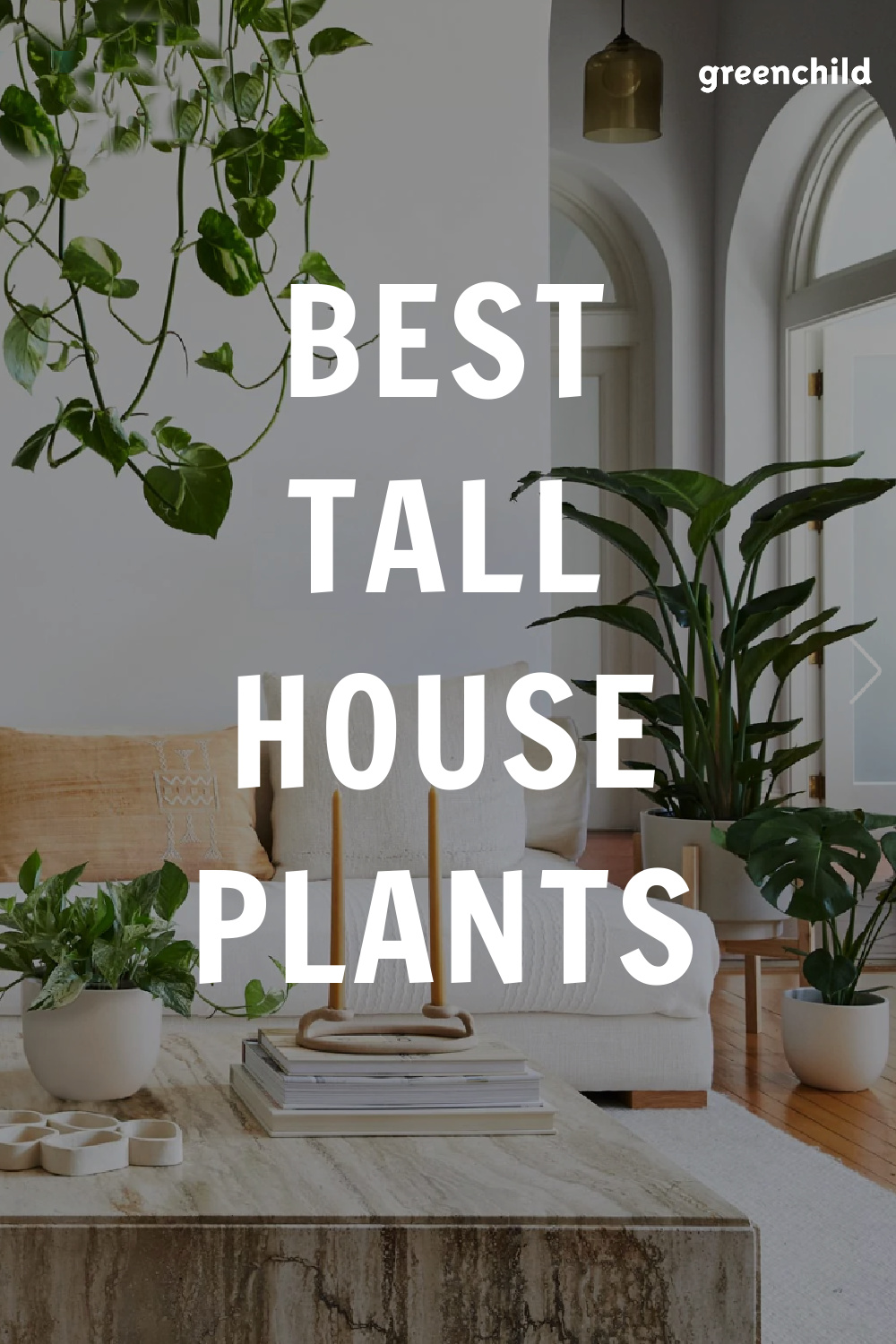 Common Tall House Plants & Care Tips - Green Child Mag
