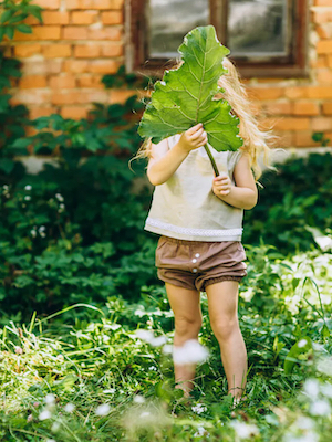 Guided Meditation Script for Kids: Spring Renewal