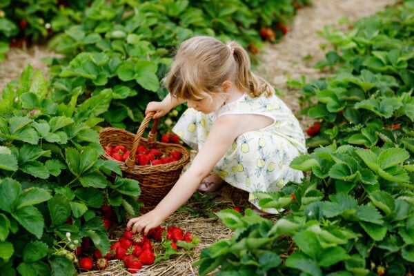 Natural parenting and conscious living - Green Child Magazine