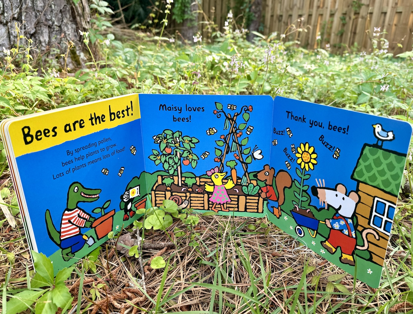 Maisy's Planet - Adorable Nature Themed Books for Kids - Green Child ...