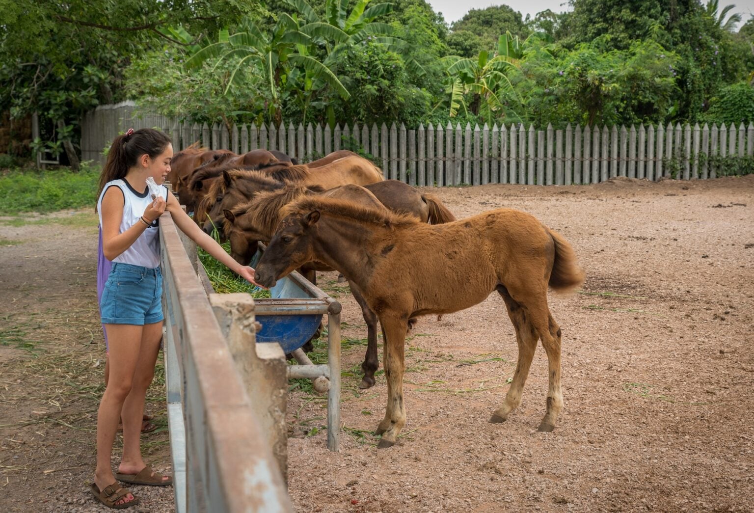 Summer Activities for Teens: Outdoors and Off Screens