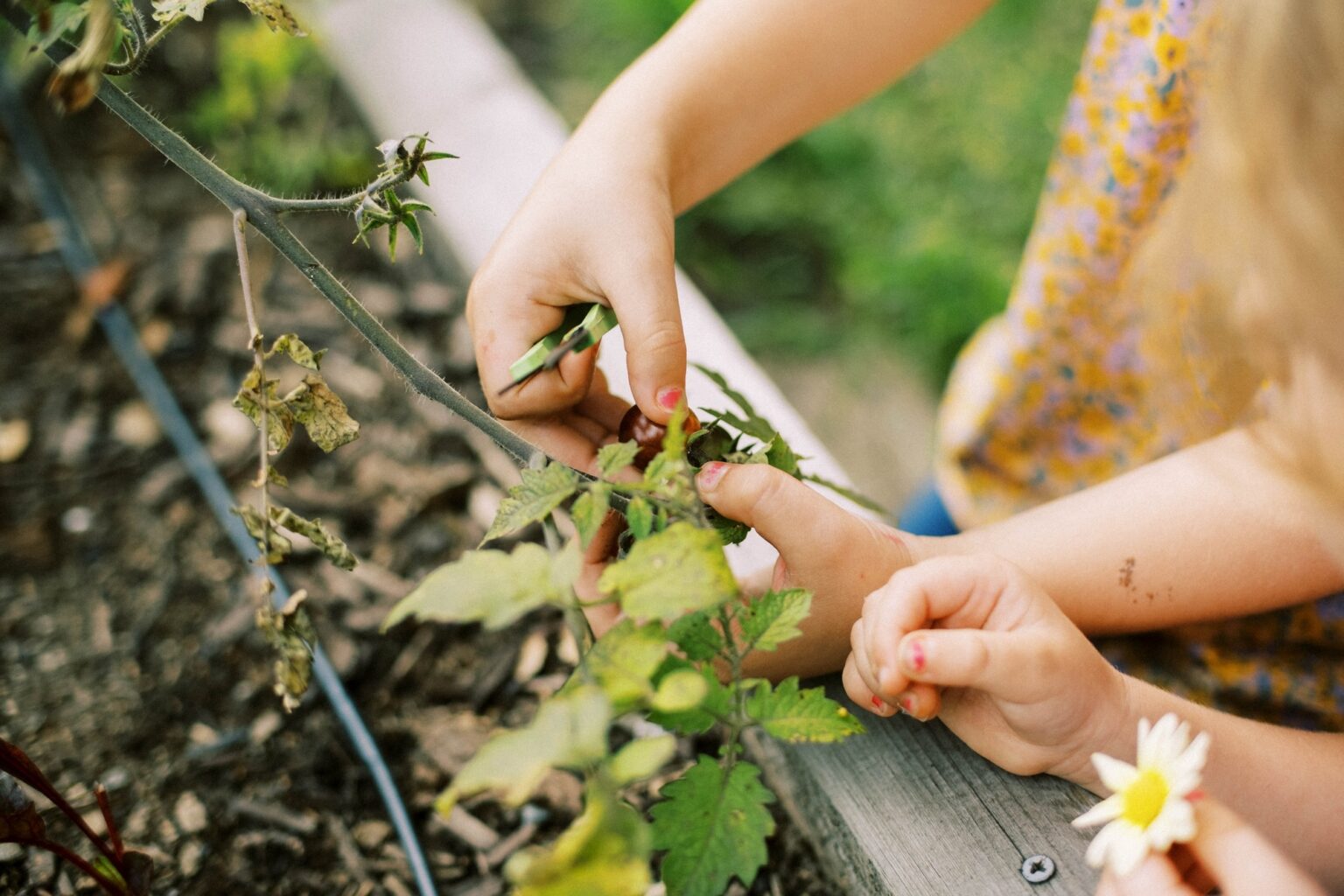 How to Get Your Kids Gardening - Green Child Magazine