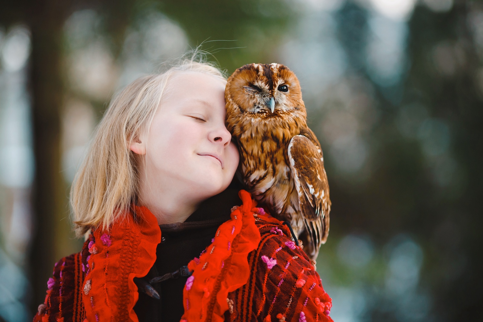 Owling With Kids - Green Child Magazine